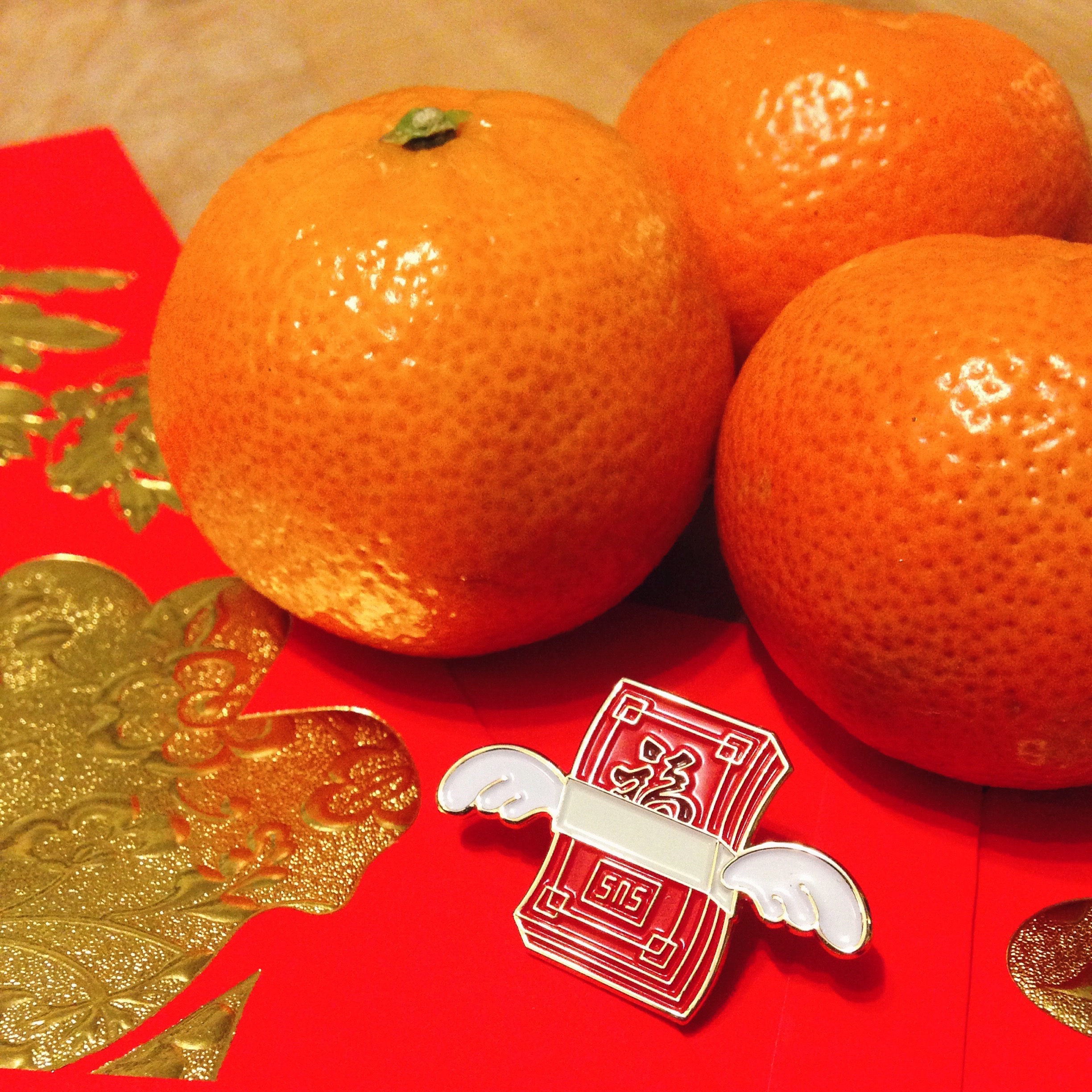 Flying Red Pocket Enamel Pin – something nice supply